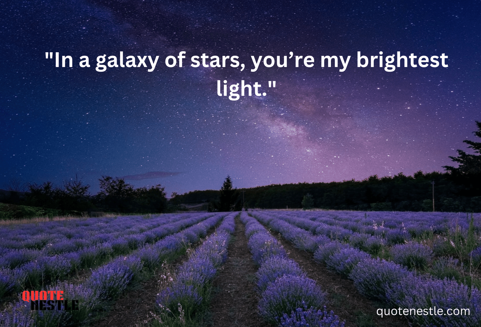 250+ Night Sky Quotes 2025 - Quote Nestle