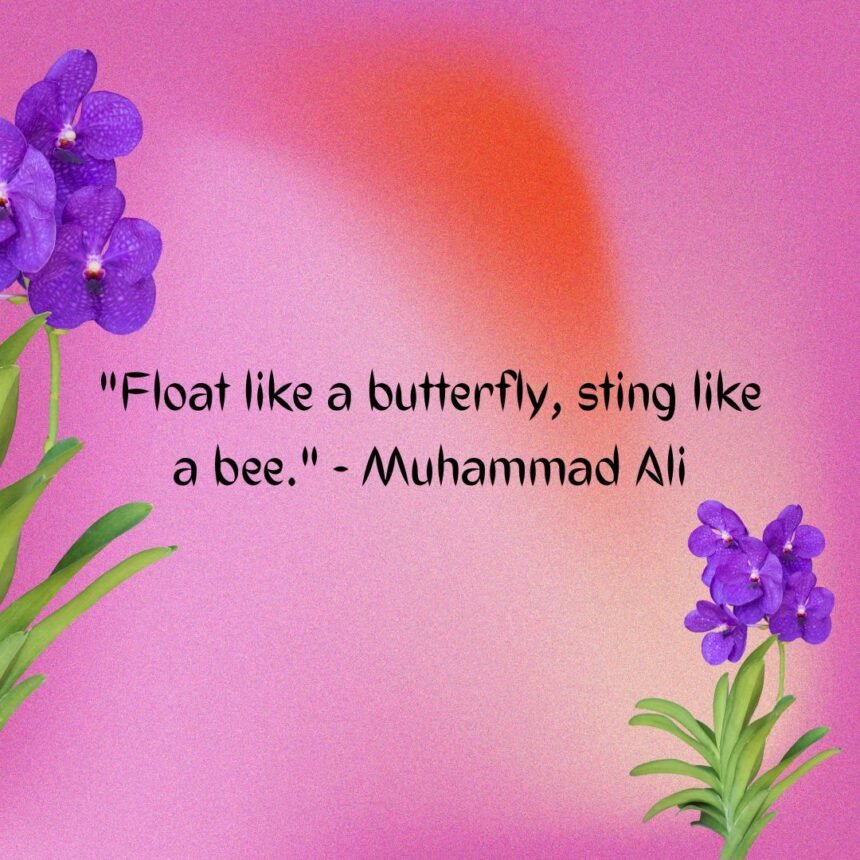 150+ Butterfly Quotes for Inspiration and Transformation