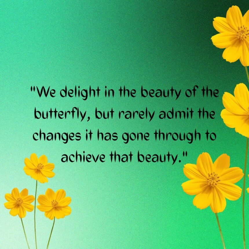 150+ Butterfly Quotes for Inspiration and Transformation