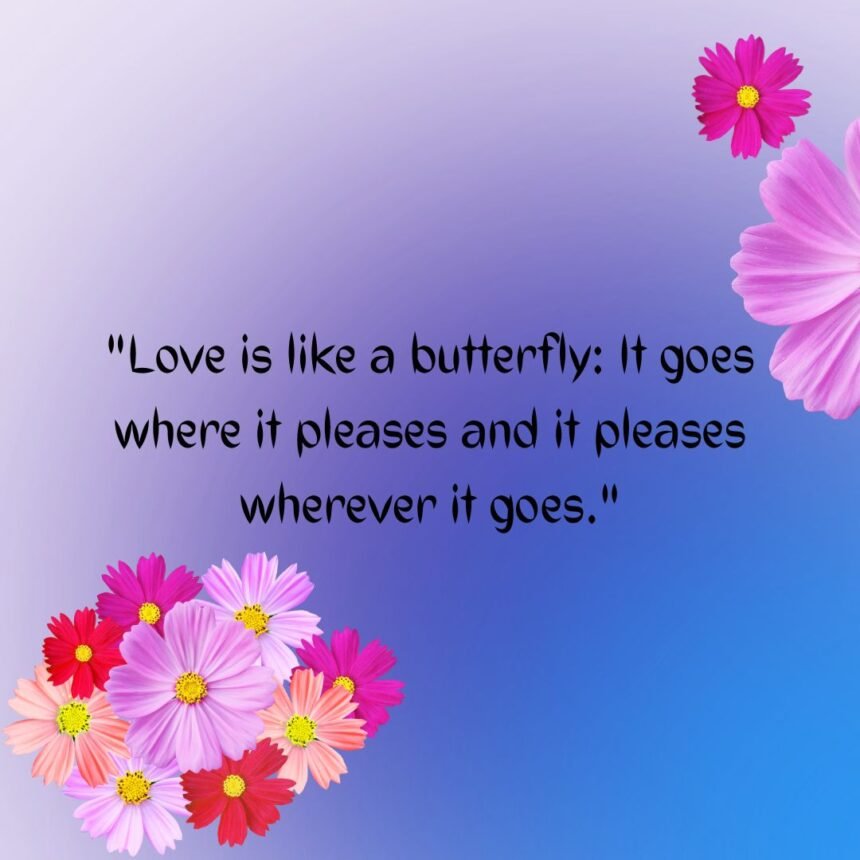 150+ Butterfly Quotes for Inspiration and Transformation