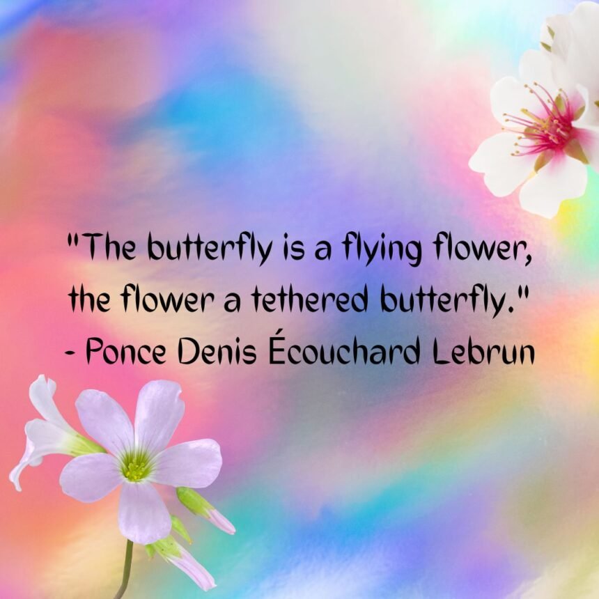 150+ Butterfly Quotes for Inspiration and Transformation