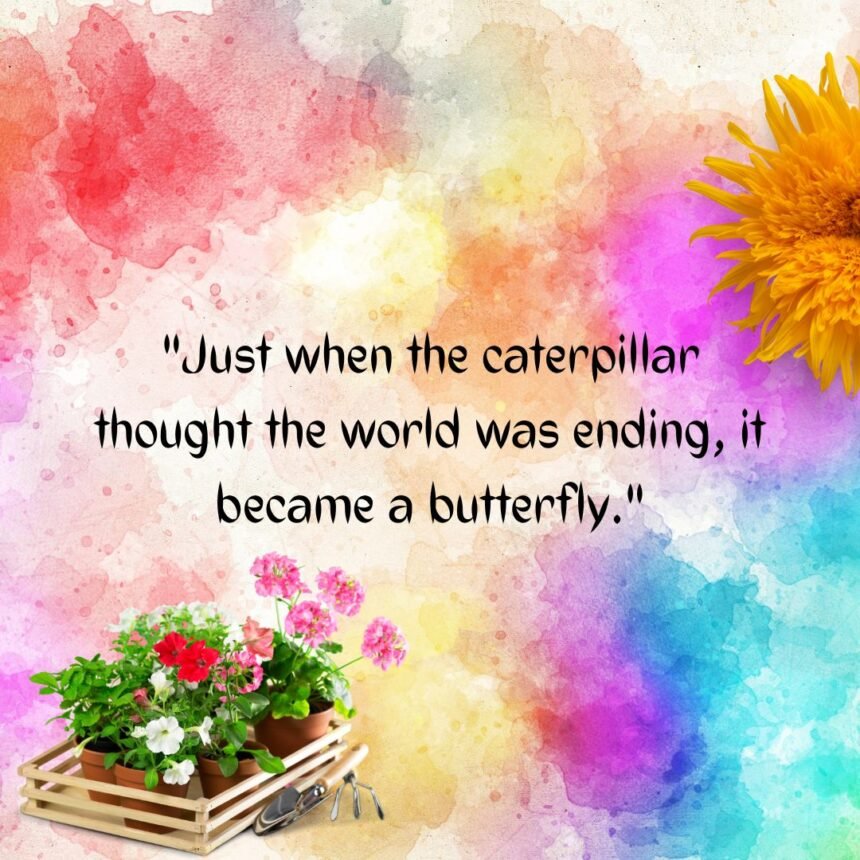 150+ Butterfly Quotes for Inspiration and Transformation