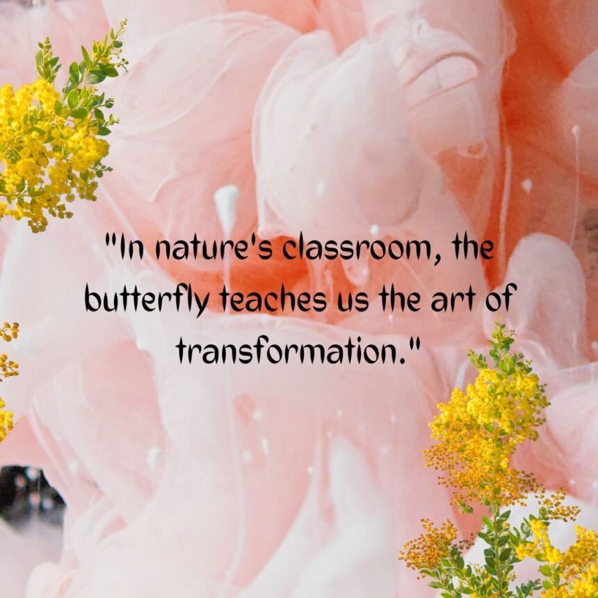 150+ Butterfly Quotes for Inspiration and Transformation