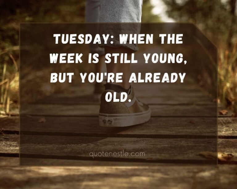 100+ Funny Tuesday Quotes, Wishes, Messages with Images - Quote Nestle