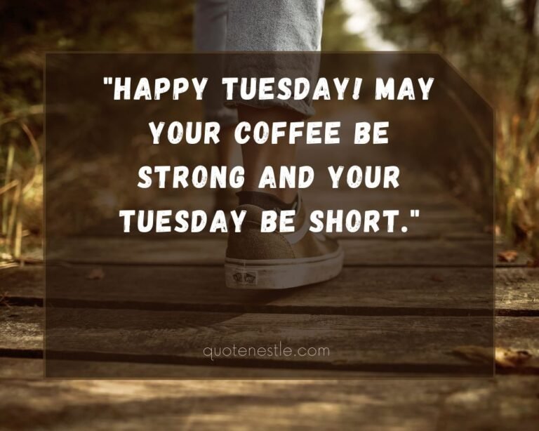 100+ Funny Tuesday Quotes, Wishes, Messages with Images - Quote Nestle