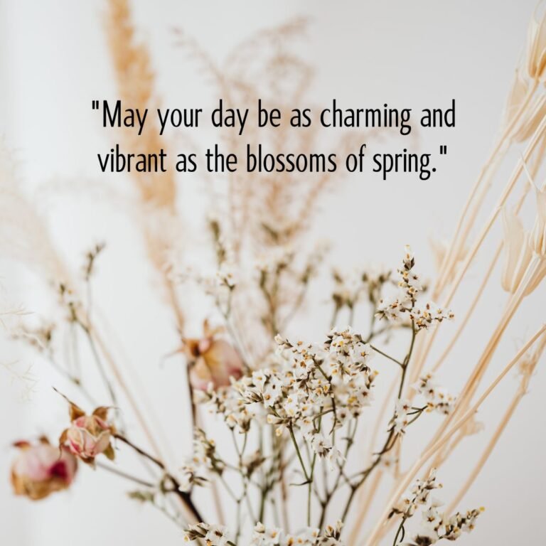 120+ Have a Beautiful Day Quotes to Brighten Your Mood