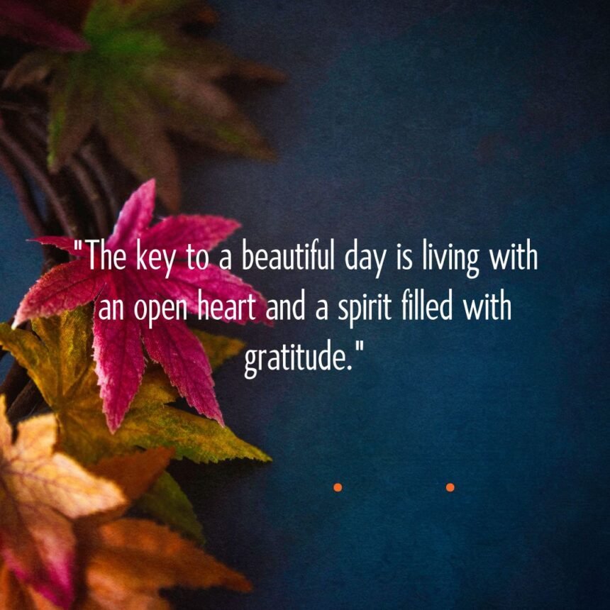 120+ Have a Beautiful Day Quotes to Brighten Your Mood