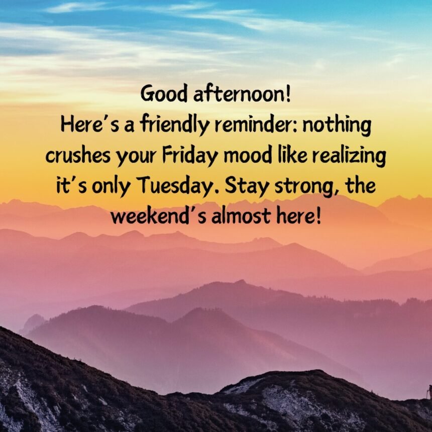 60+ Funny Good Afternoon Messages to Brighten Your Day