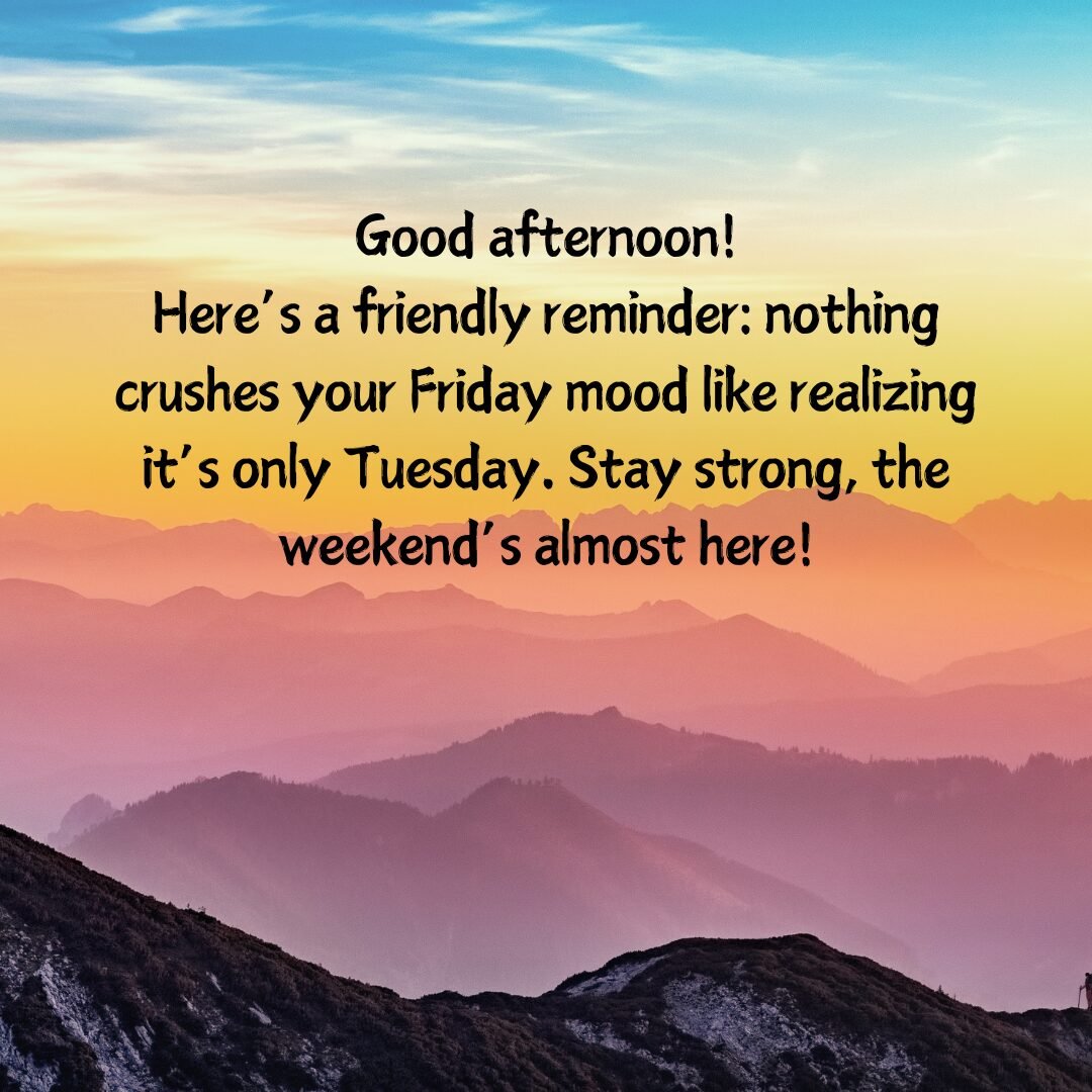 60+ Funny Good Afternoon Messages to Brighten Your Day