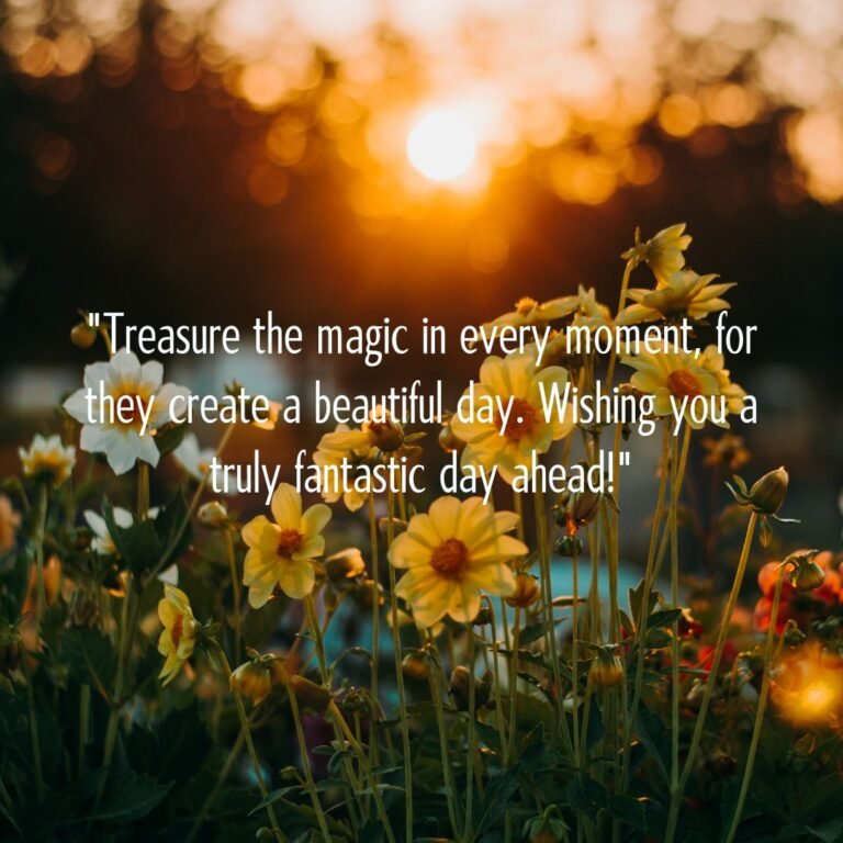 120+ Have a Beautiful Day Quotes to Brighten Your Mood