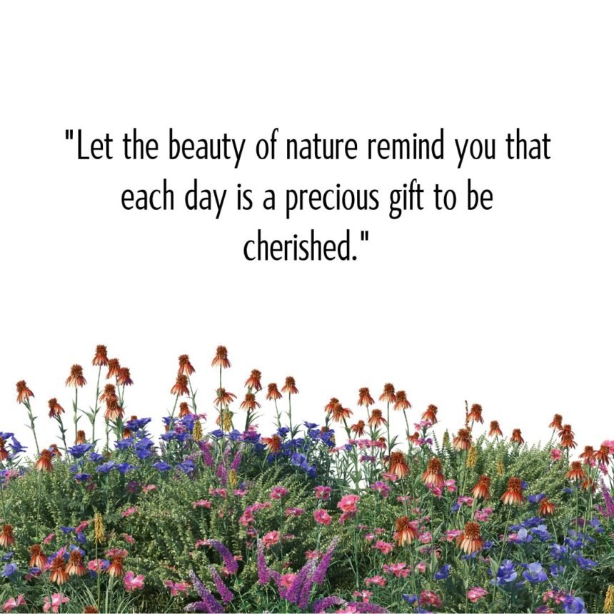 120+ Have a Beautiful Day Quotes to Brighten Your Mood