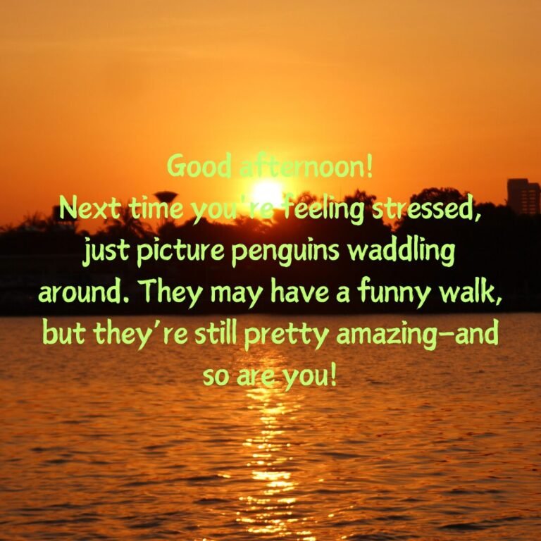 60+ Funny Good Afternoon Messages to Brighten Your Day