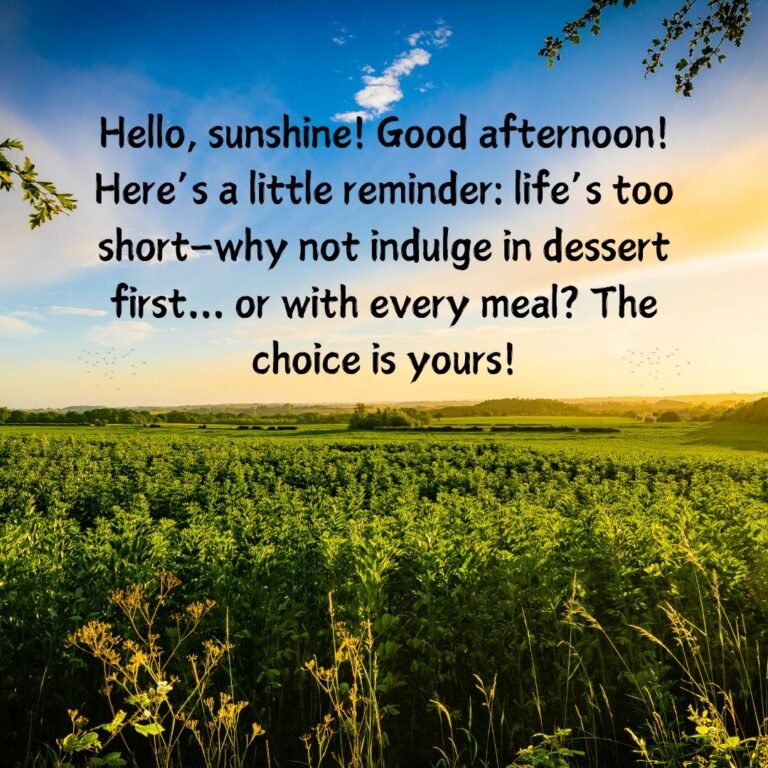 60+ Funny Good Afternoon Messages to Brighten Your Day