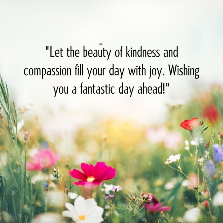 120+ Have a Beautiful Day Quotes to Brighten Your Mood