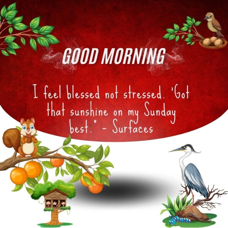 Sunday Funday: 120+ Funny Sunday Quotes to Dive Into Laughter