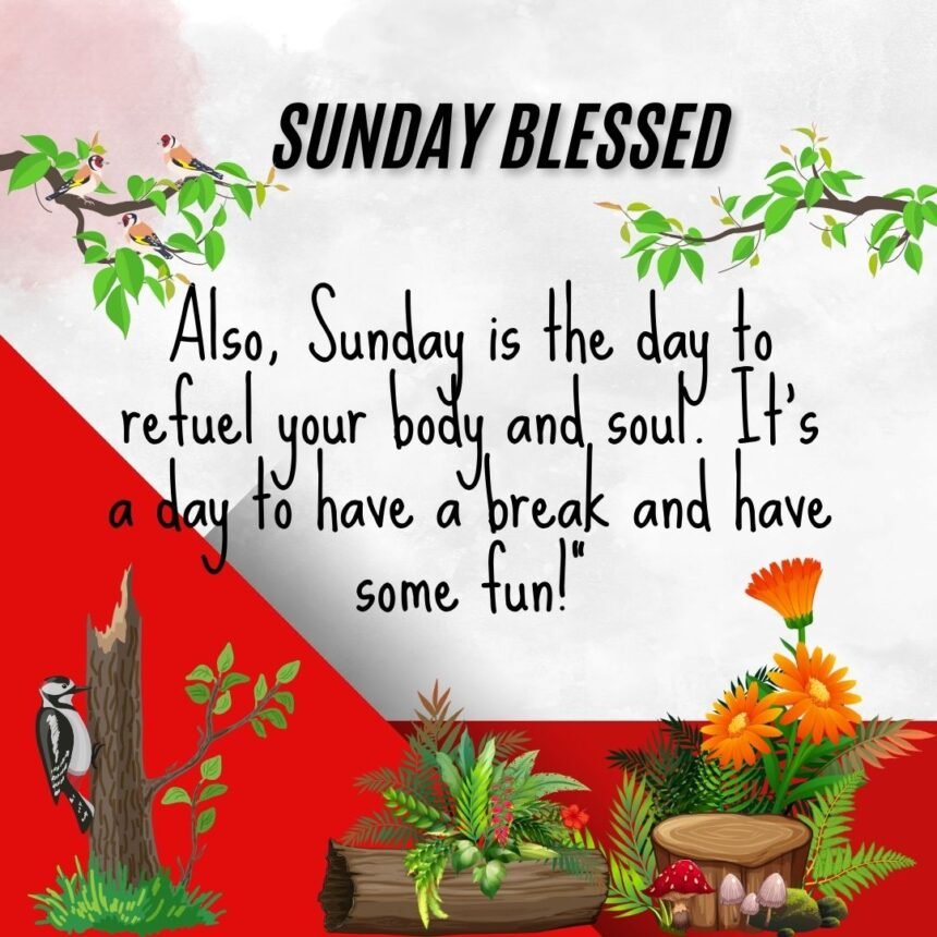 Sunday Funday: 120+ Funny Sunday Quotes to Dive Into Laughter