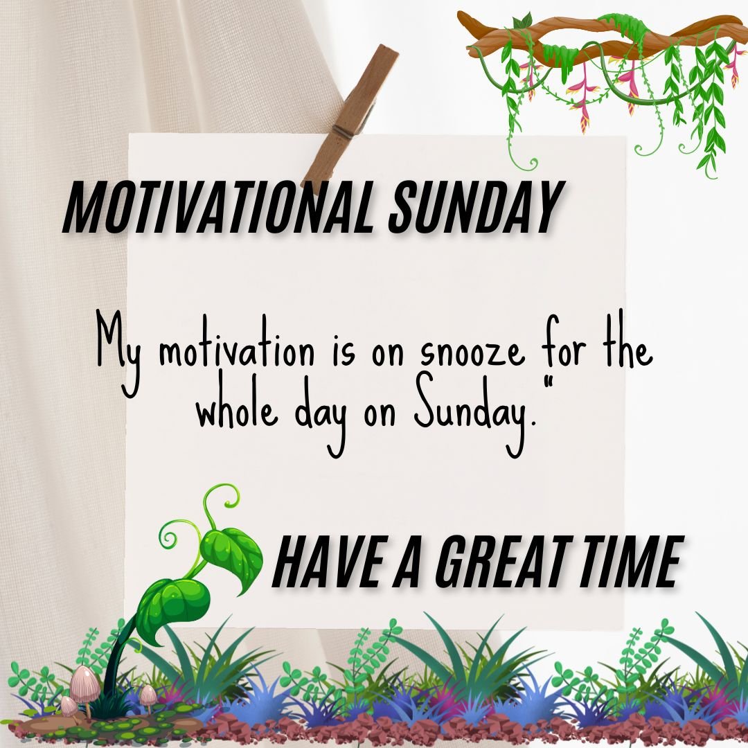 Sunday Funday: 120+ Funny Sunday Quotes to Dive Into Laughter