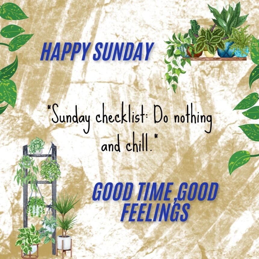 Sunday Funday: 120+ Funny Sunday Quotes to Dive Into Laughter