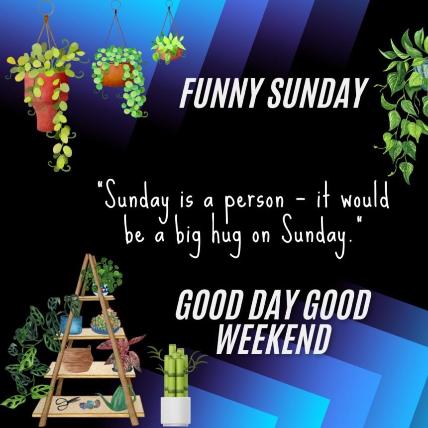 Sunday Funday: 120+ Funny Sunday Quotes to Dive Into Laughter
