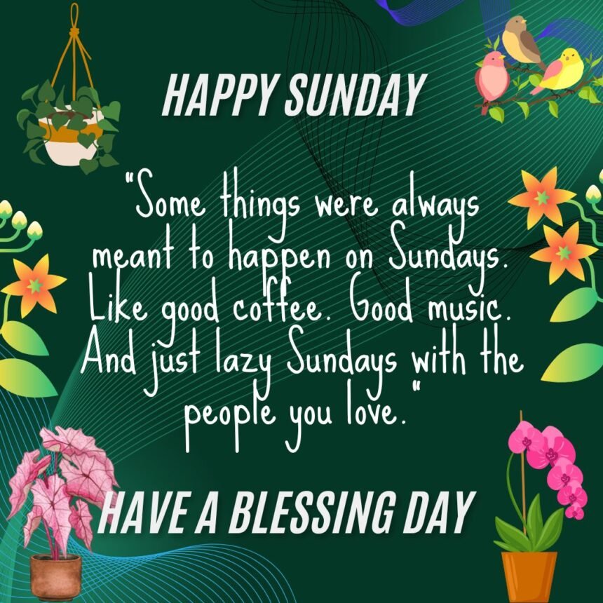 Sunday Funday: 120+ Funny Sunday Quotes to Dive Into Laughter