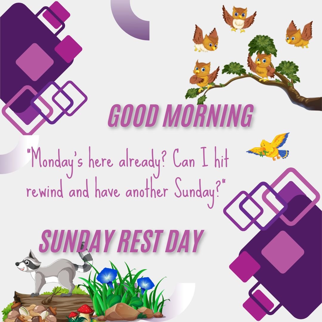 Sunday Funday: 120+ Funny Sunday Quotes to Dive Into Laughter