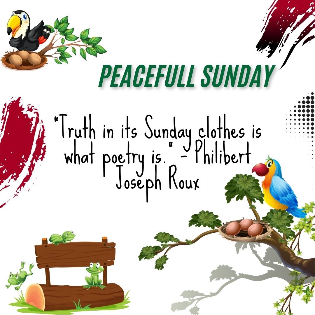 Sunday Funday: 120+ Funny Sunday Quotes to Dive Into Laughter