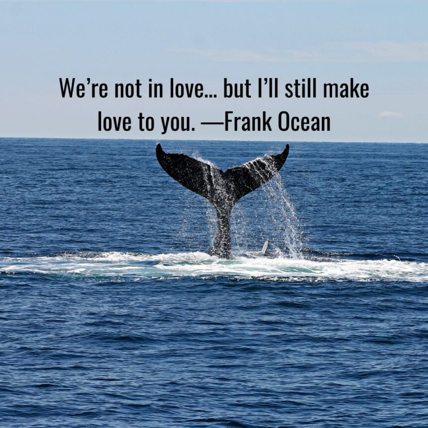 120+ Inspiring Frank Ocean Quotes